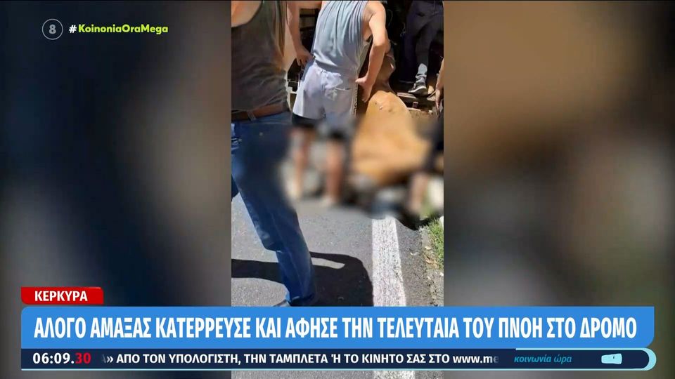 Κέρκυρα: Κρατείται ο 80χρονος αμαξάς που φέρεται ότι μαστίγωνε το άλογο ...